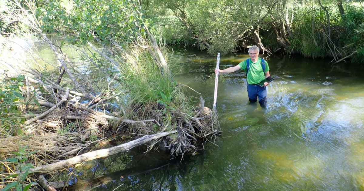 Renaturierung von Fließgewässern: Ein Wasserkanister für trockene Zeiten | GStB RLP